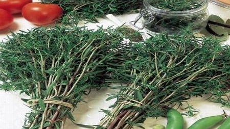 Foloseşti cimbru în bucătărie? Nu te aşteptai la asta | Obiectiv.info