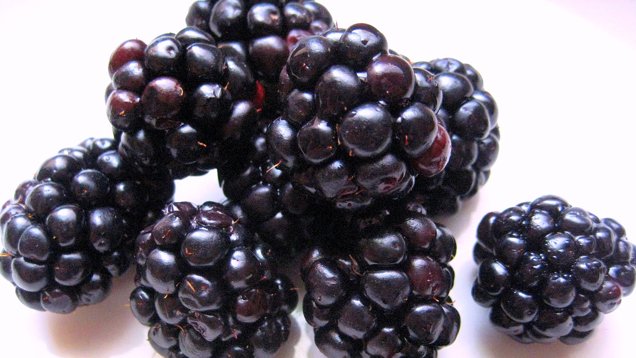 MURELE, medicamentele dulci de toamnă. Ce PROPRIETĂŢI au | Obiectiv.info