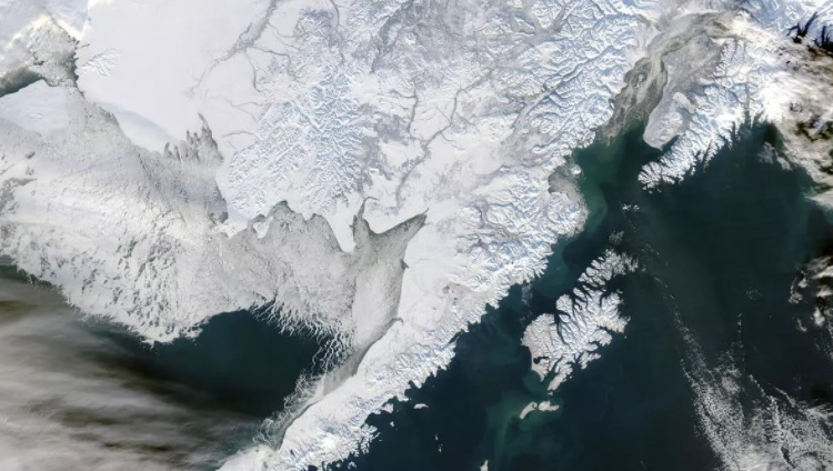 Întinderea gheţii din Marea Bering a atins cel mai scăzut nivel din ...