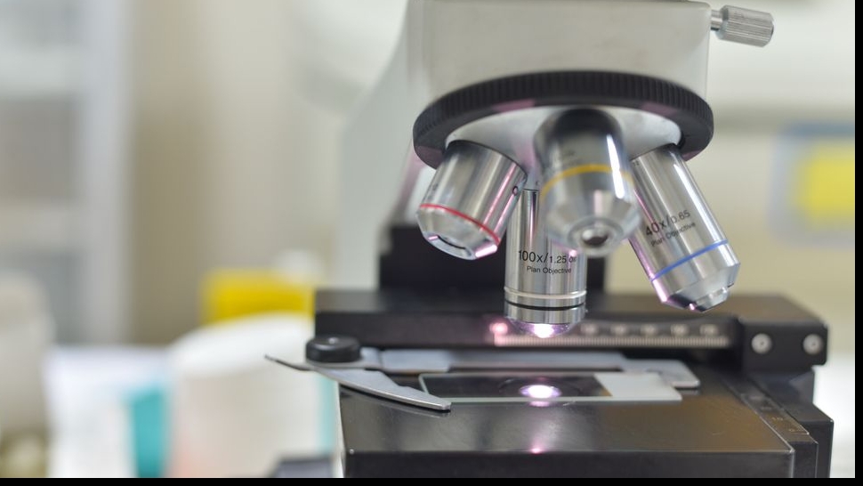 Simptome vagi, dar periculoase: cum depistează MedLife leucemia prin analize medicale specifice ...